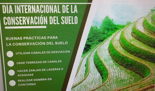 Agricultura De Contorno Y Terrazas